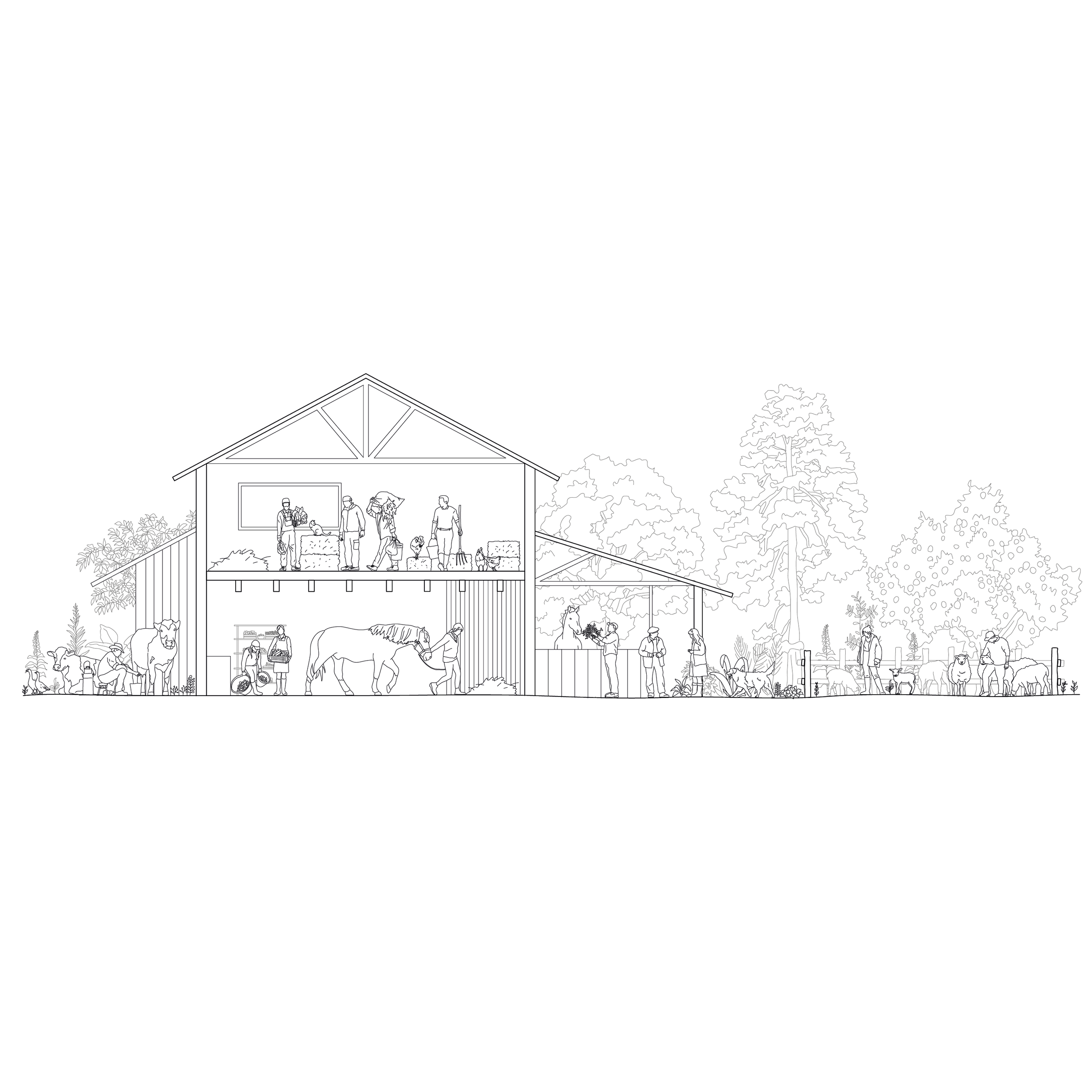 Studio Alternativi — Digital Products for Architects