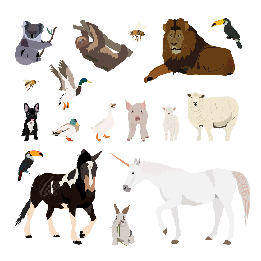Vector Animals Pack 02 | 18 Illustrated Animals – Studio Alternativi