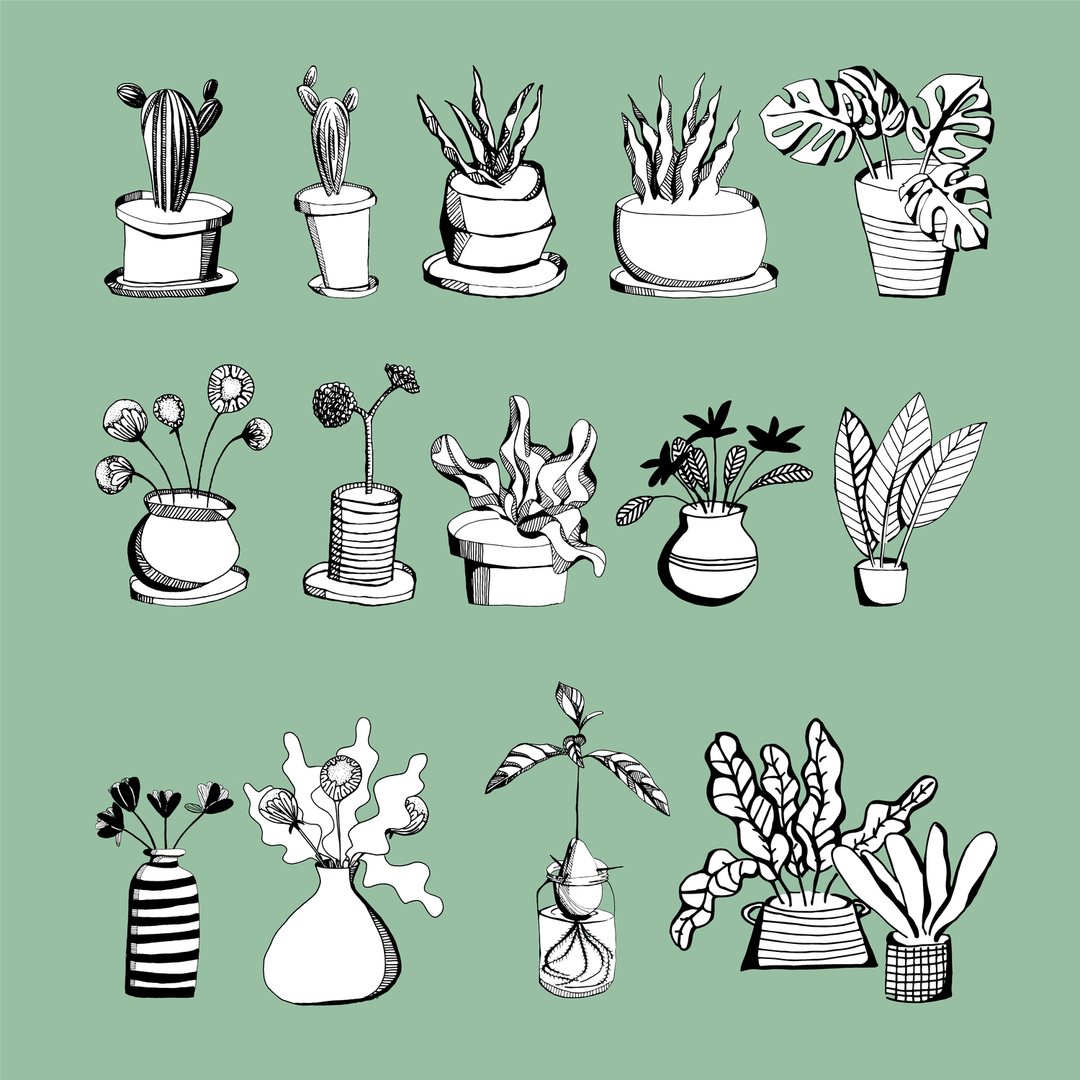 Vector Hand-drawn Potted Plants – Studio Alternativi