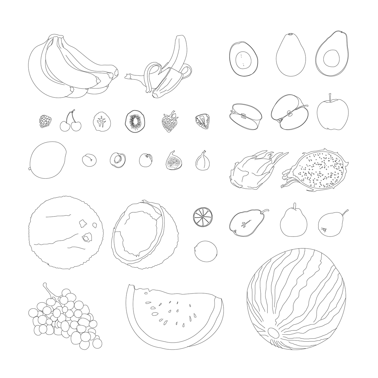 Vector Fruit Set for Architectural Plans – Studio Alternativi
