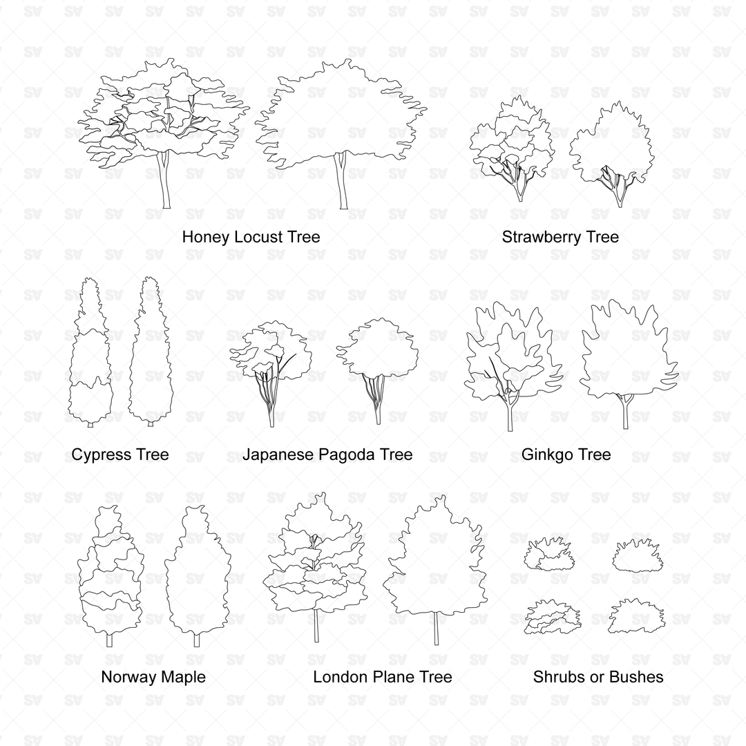 Vector and CAD Trees and Bushes | AI PNG Download | Studio Alternativi