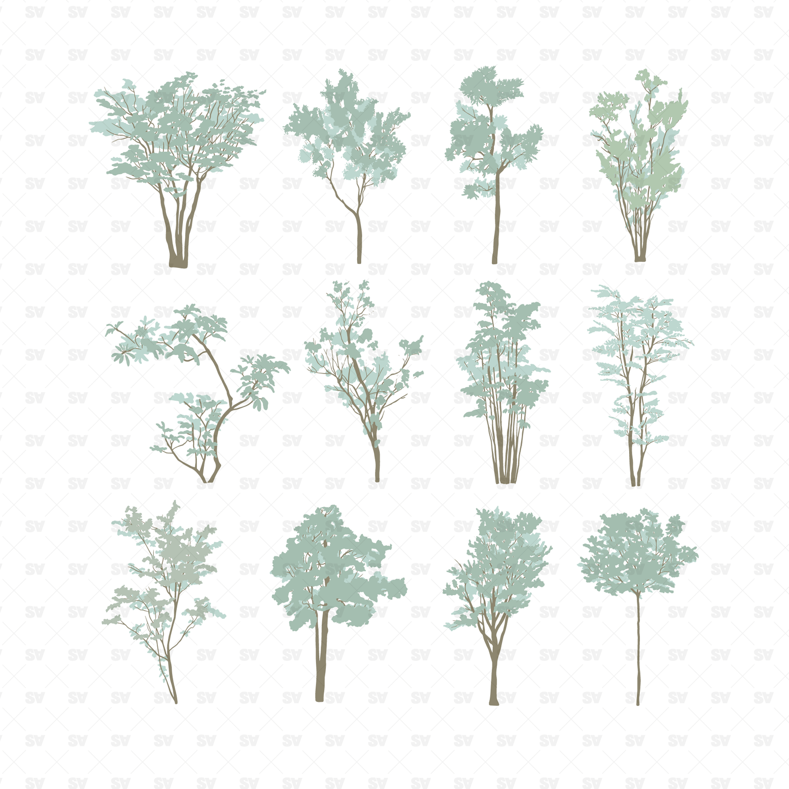 Vector & PNG Trees Set Vol. 2 (12 figures) – Studio Alternativi