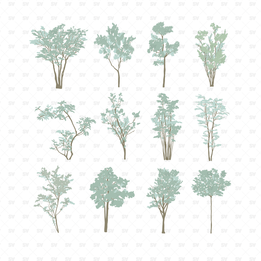 Vector & PNG Trees Set Vol. 2 (12 figures) – Studio Alternativi
