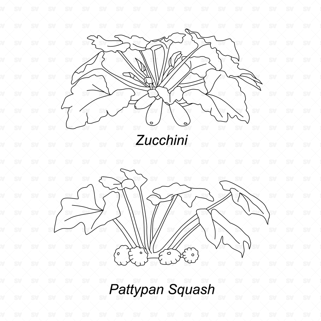 CAD & Vector Vegetable Plants Mega-Pack – Studio Alternativi