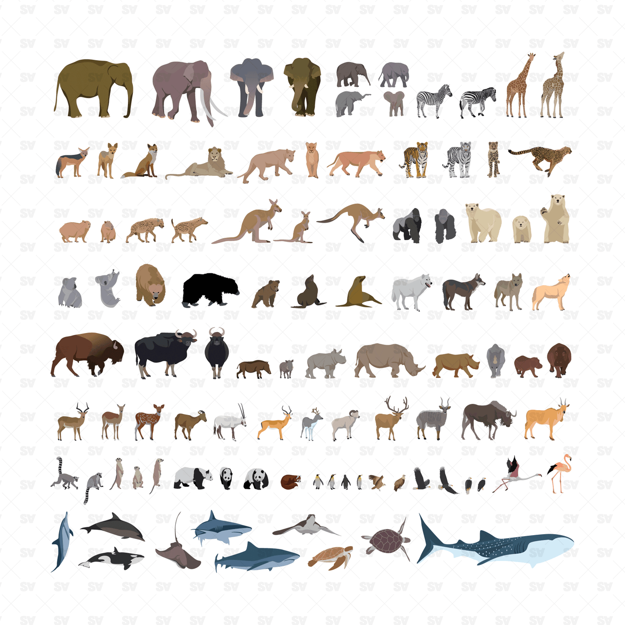 Wild Animals & Birds Mega Pack | AI PNG Download | Studio Alternativi