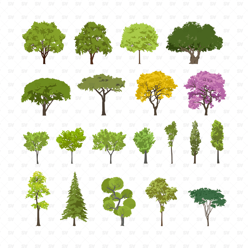 Common Trees Pack - 20 Vector Figures – Studio Alternativi