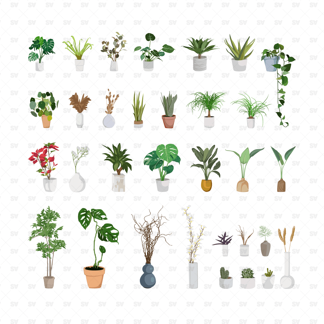 Flat Vector Indoor Plants - 32 Illustrations – Studio Alternativi