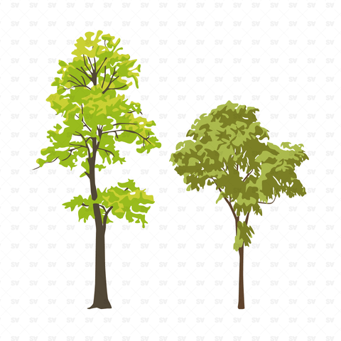 Common Trees Pack - 20 Vector Figures – Studio Alternativi