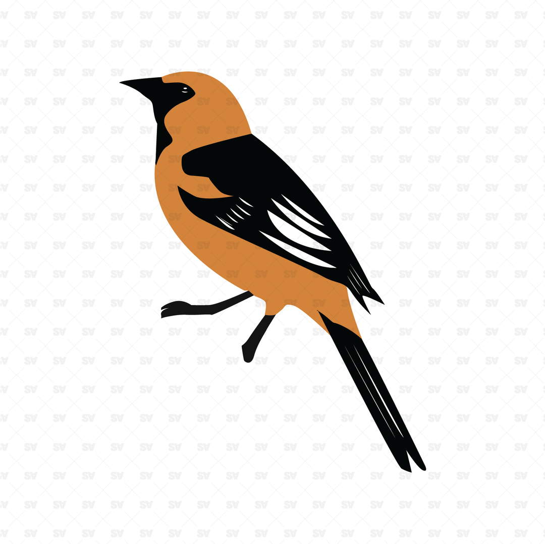 Vector Birds Pack - 19 Illustrated Figures – Studio Alternativi
